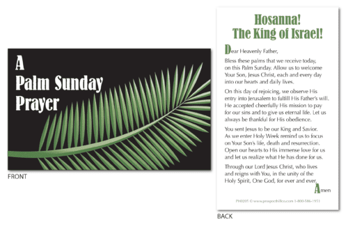 A Palm Sunday Prayer Card (box of 100) – Prospect Hill Co.